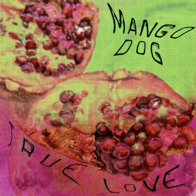 Mango Dog comparte el sencillo «True Love» (EE.UU.) – R+