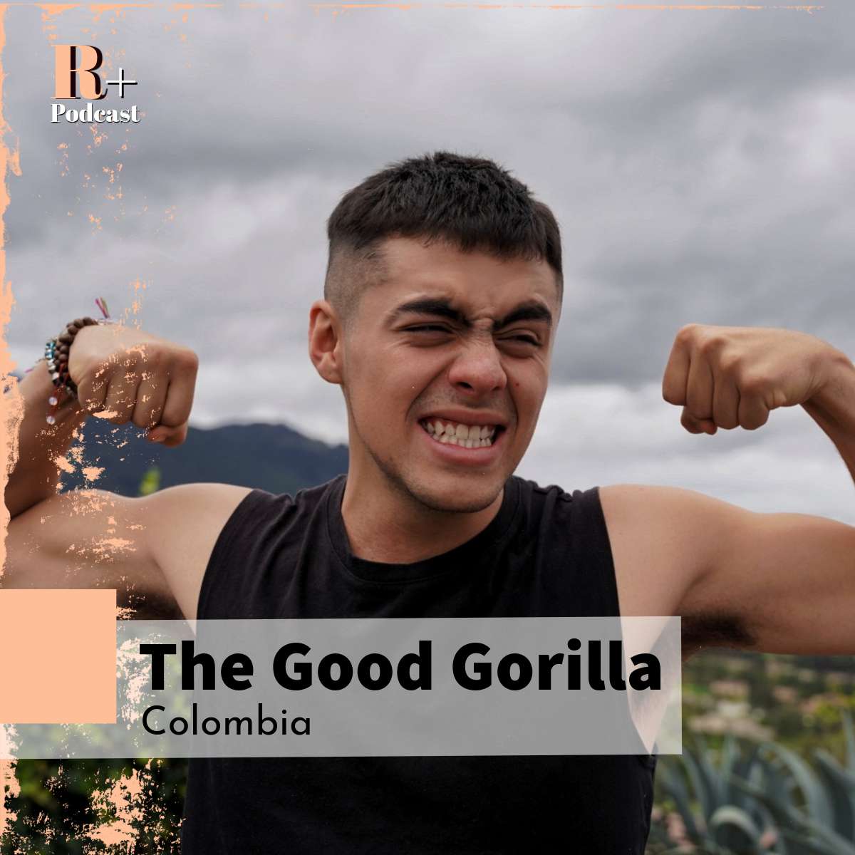 Entrevista The Good Gorilla (Colombia) – R+